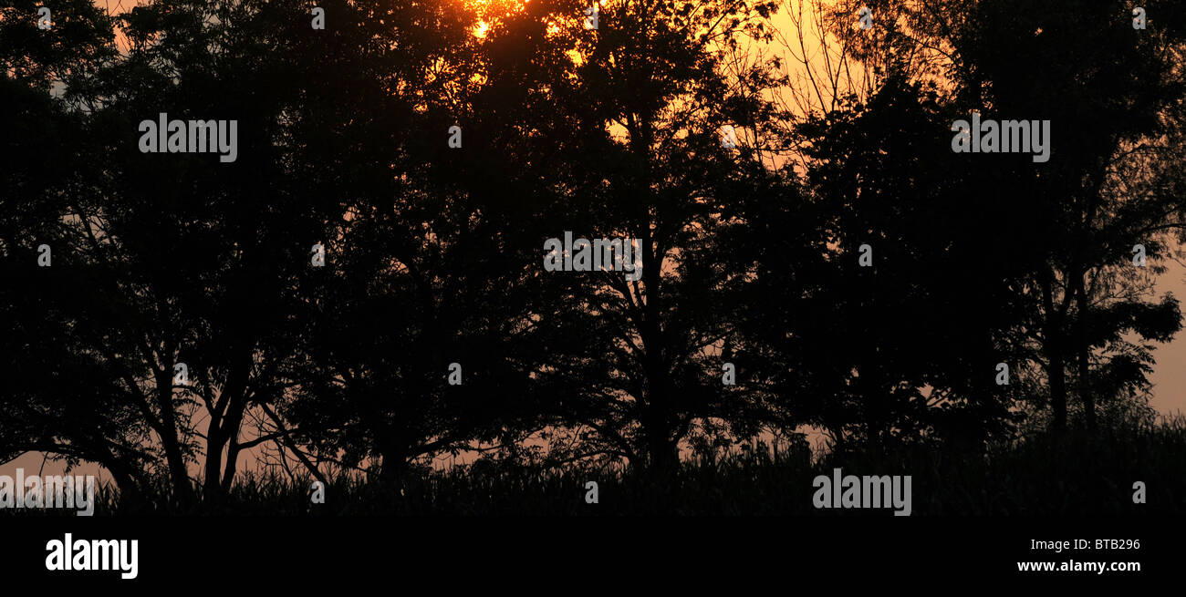 Polish countryside hi-res stock photography and images - Alamy
