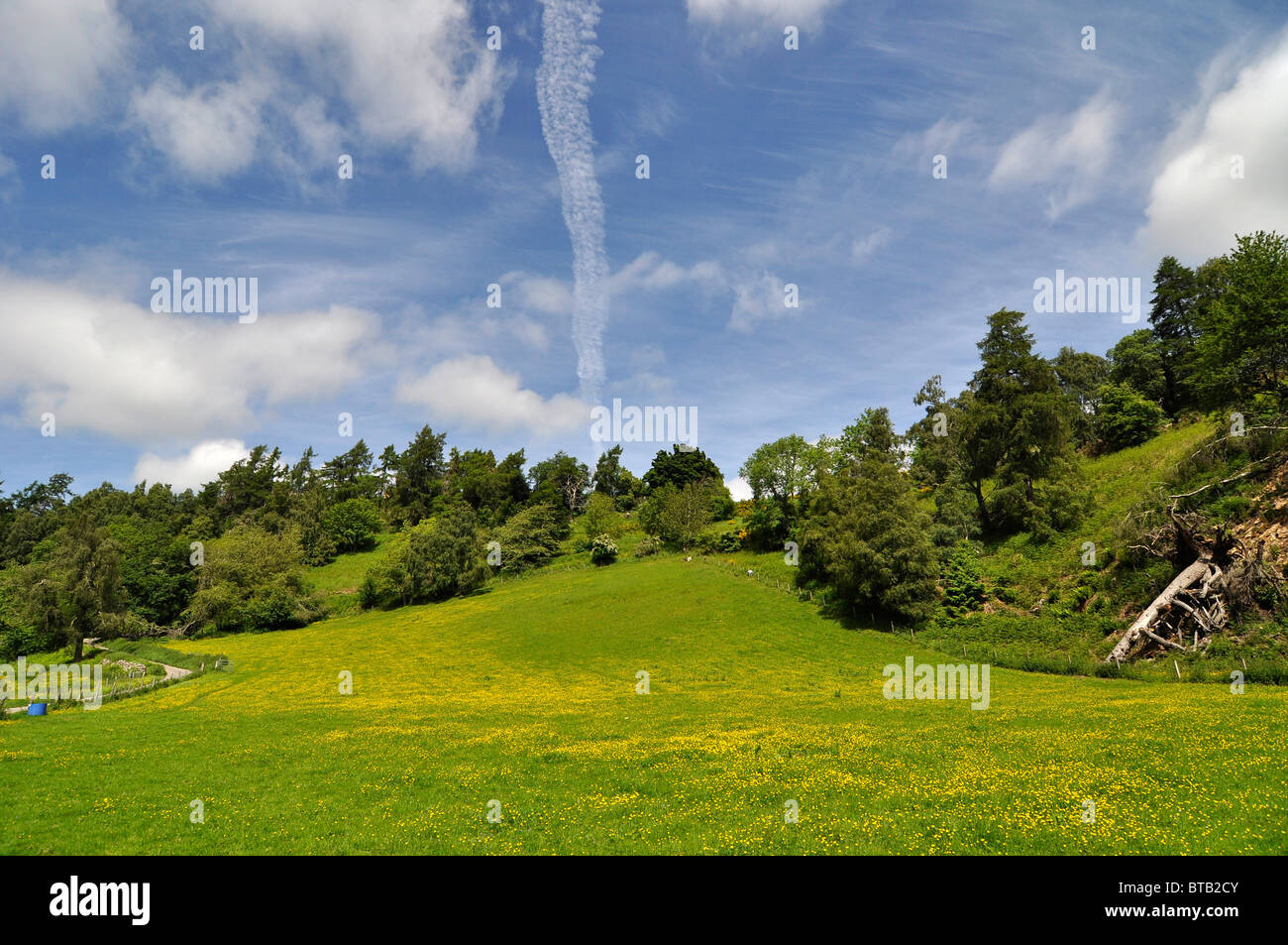Meadow near The River Findhorn at Glenfurness, Scotland Stock Photo - Alamy