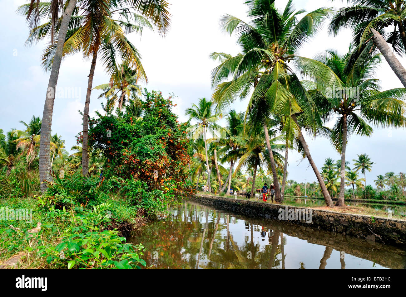 Kerala water hi-res stock photography and images - Alamy