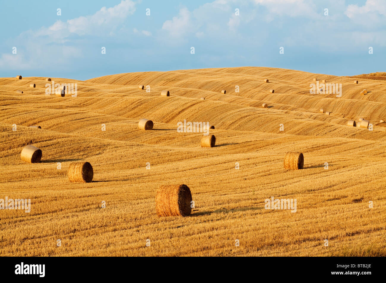 Hay rolls in a field near Pienza - Tuscany, Italy Stock Photo - Alamy