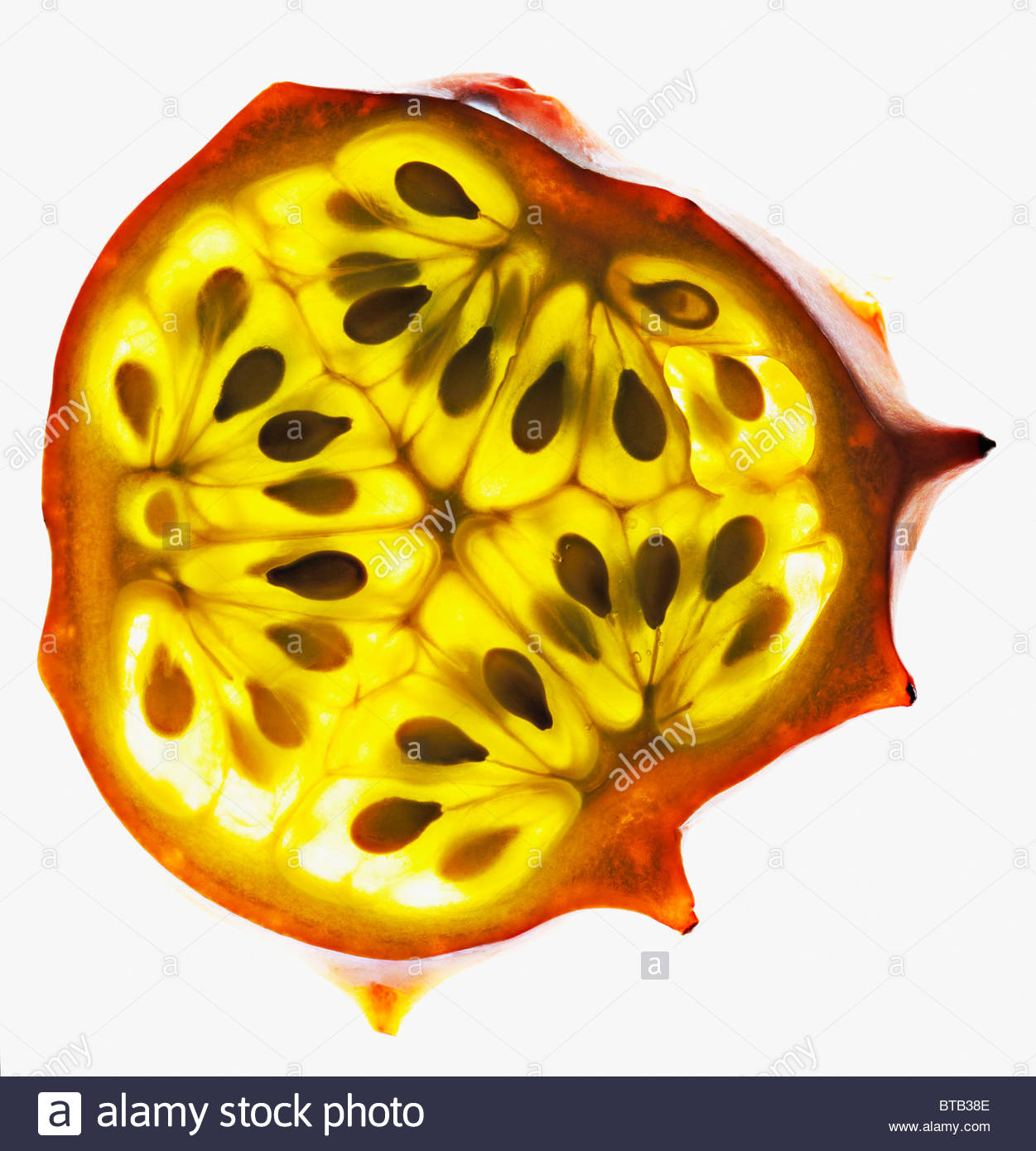 African Melon Stock Photos & African Melon Stock Images - Alamy