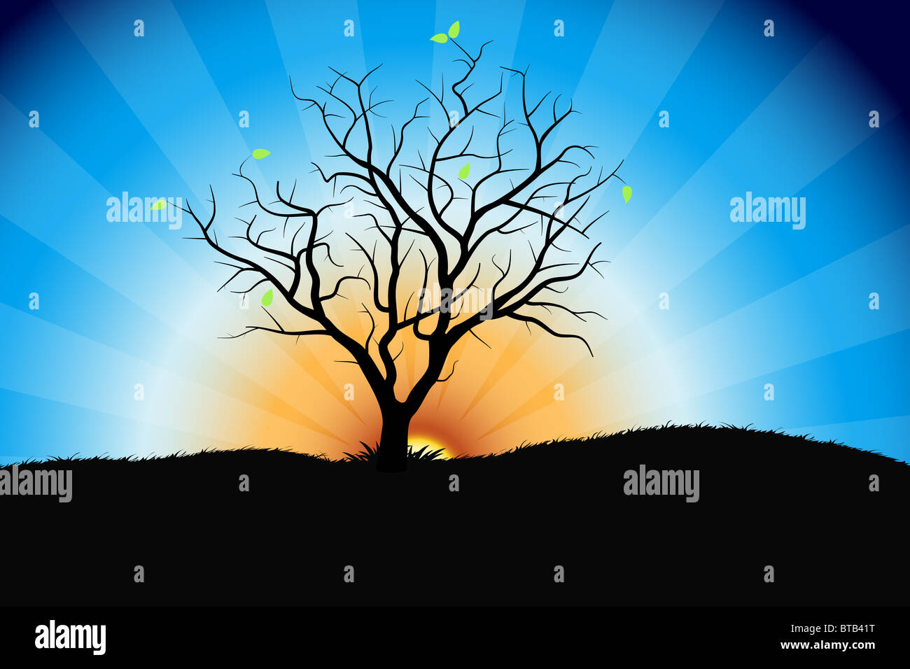 Summer Landscape with blue sky tree and rays Stock Photo - Alamy