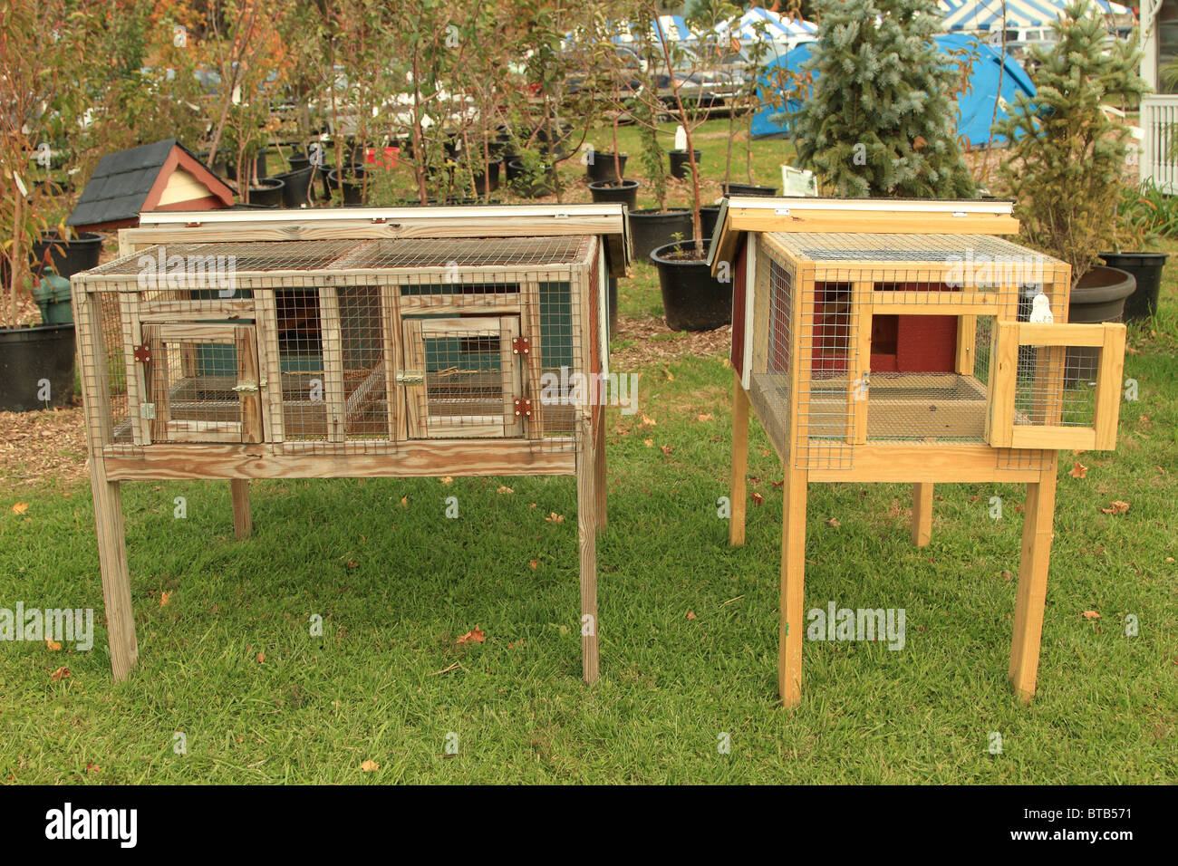 Cages Of Animal at Evelyn Morgan blog