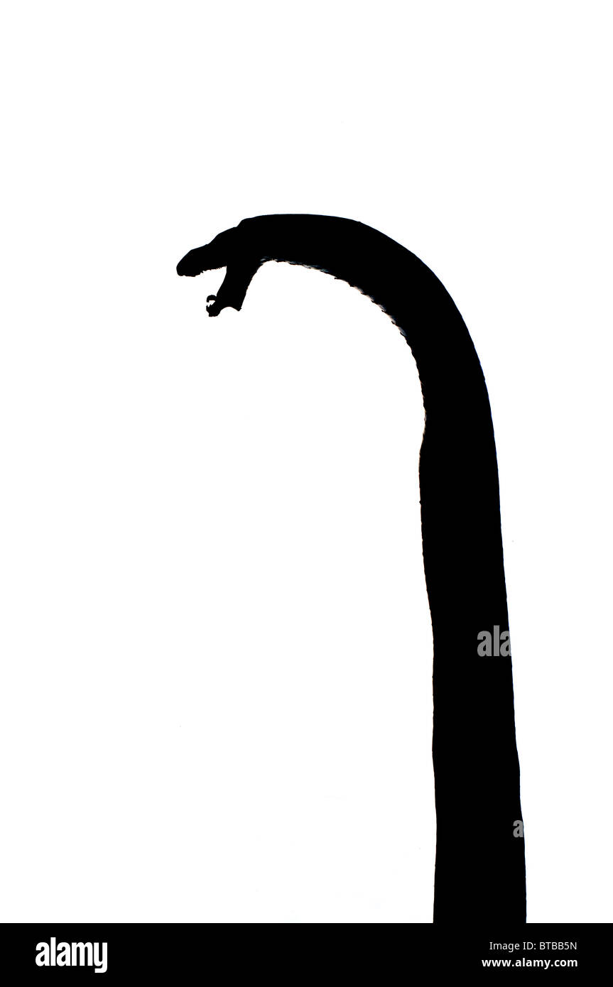 Reptile snake cobra Black and White Stock Photos & Images - Alamy
