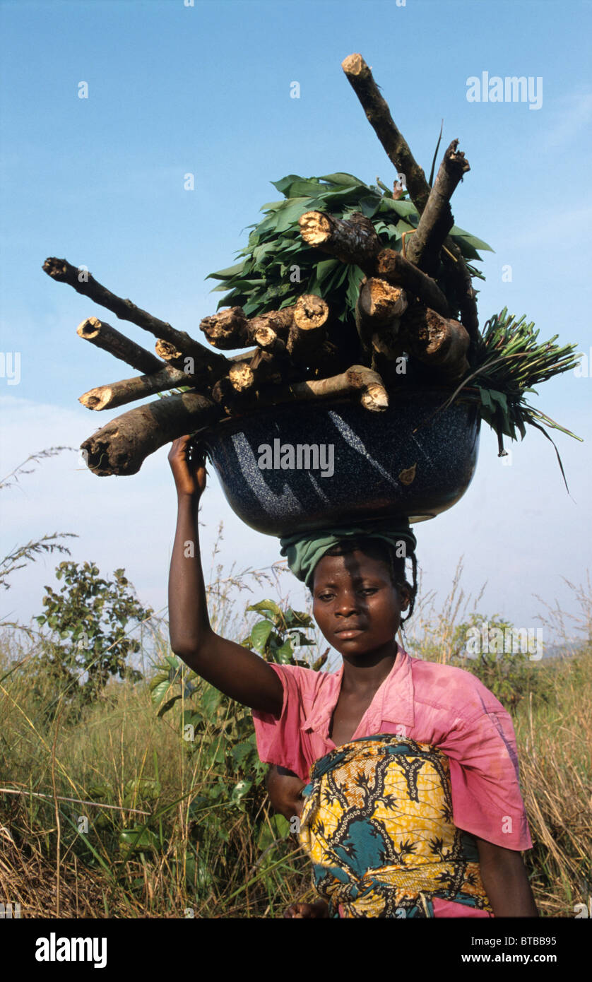 Climate change and cutting trees hi-res stock photography and images ...