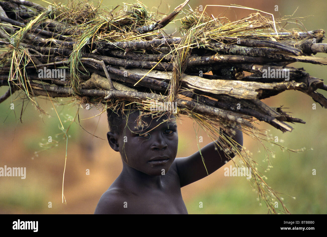 Firewood in uganda hi-res stock photography and images - Alamy