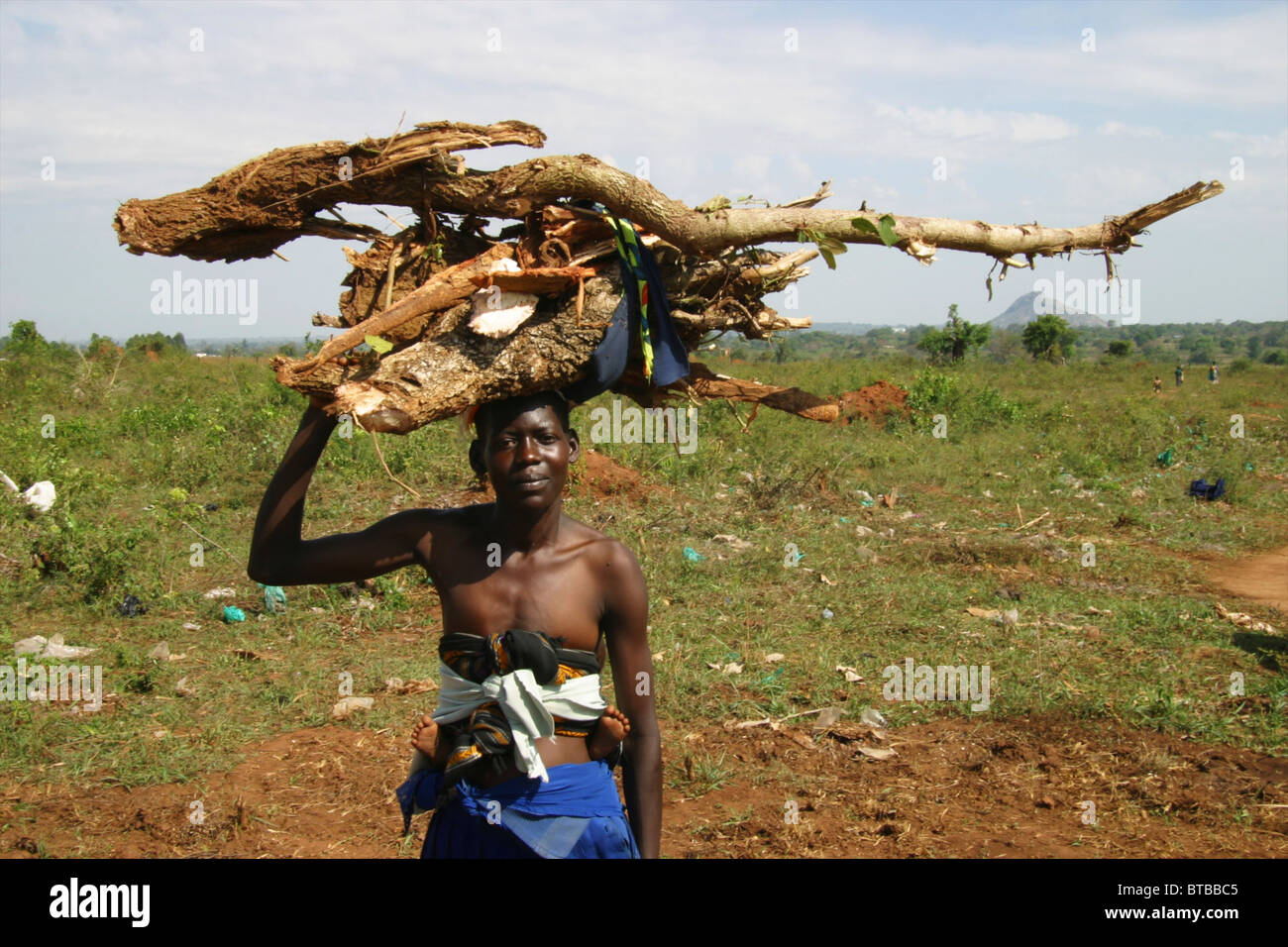 firewood in uganda Stock Photo - Alamy
