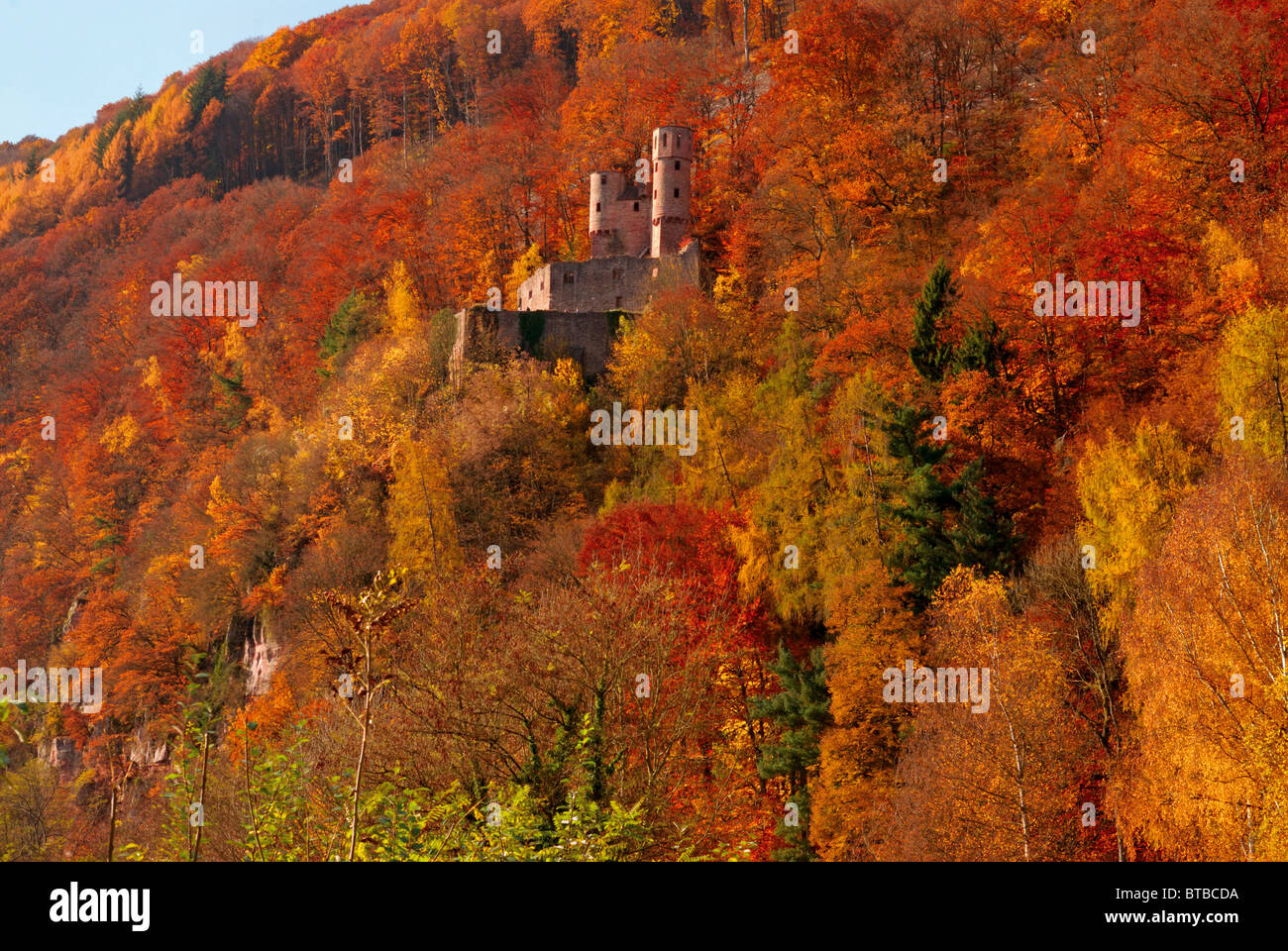 Germany, Odenwald: Castle ruin "Swallow´s nest" or also called Castle ...