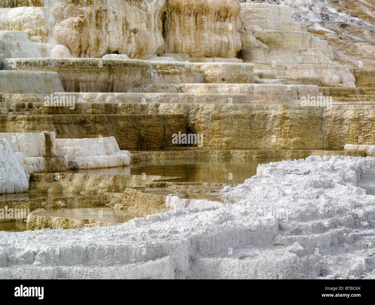 The Minerva Terrace hot spring in Yellowstone National Park in Wyoming ...
