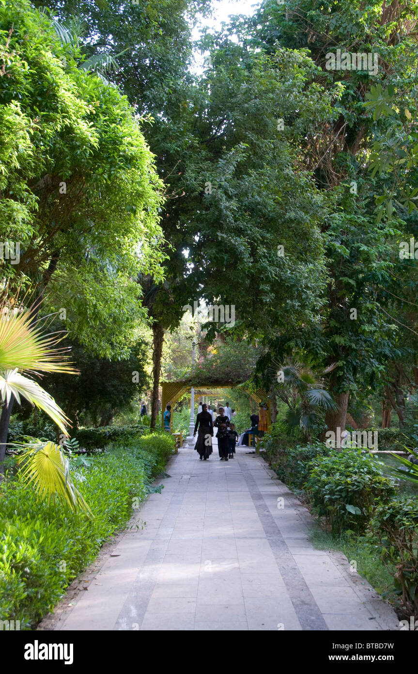 Aswan botanical garden hi-res stock photography and images - Alamy