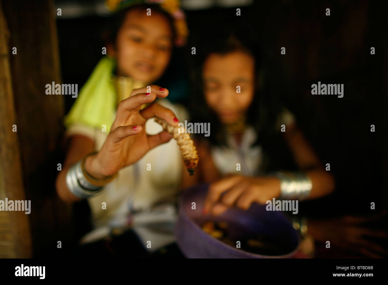 worms are a delicacy in Thailand Stock Photo - Alamy