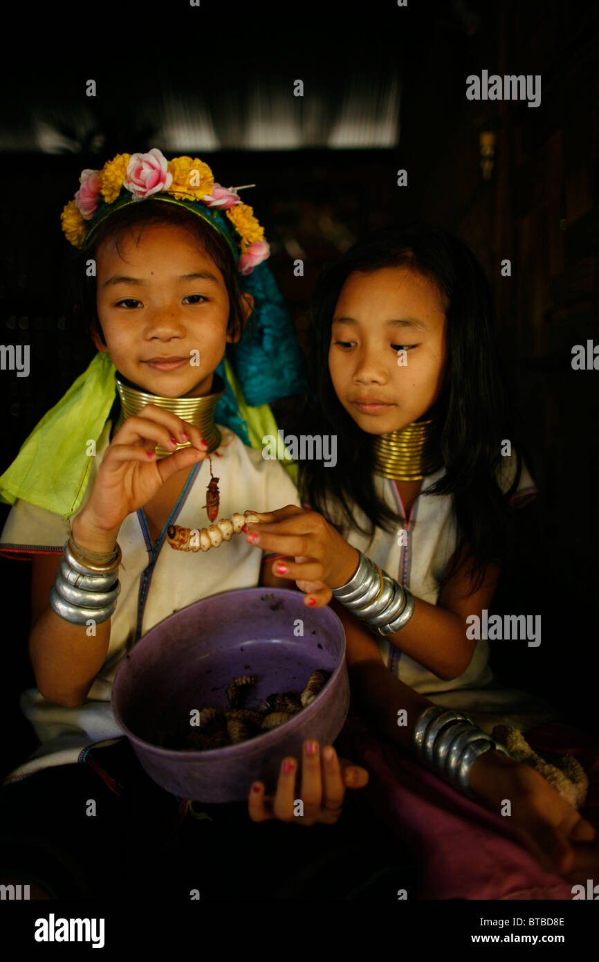 worms are a delicacy in Thailand Stock Photo - Alamy