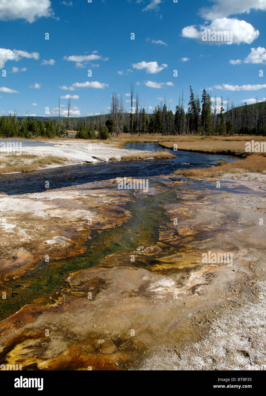 Iron Spring Creek at Black Sand Basin in Yellowstone National Park in ...