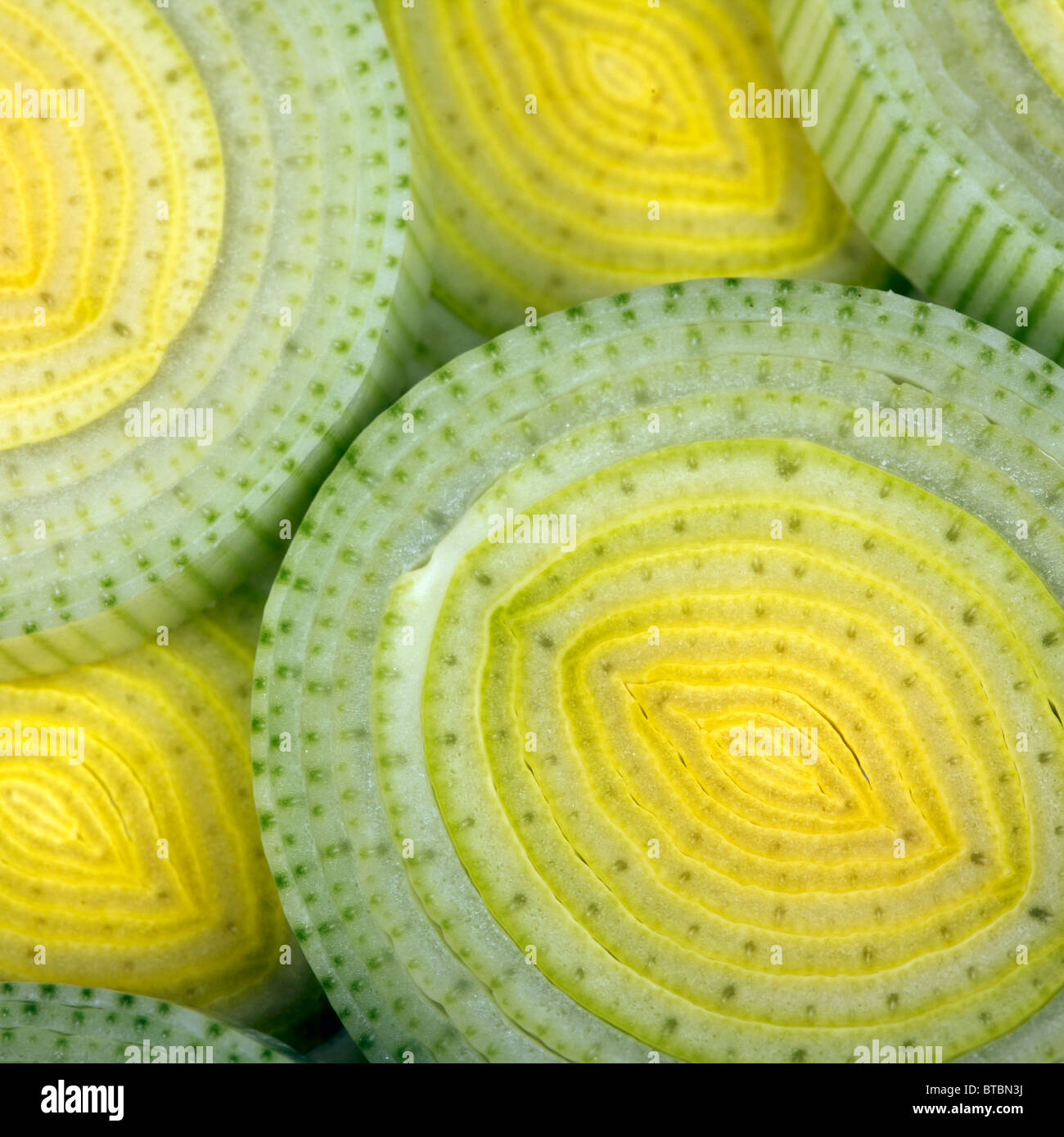 Leek rings hi-res stock photography and images - Alamy