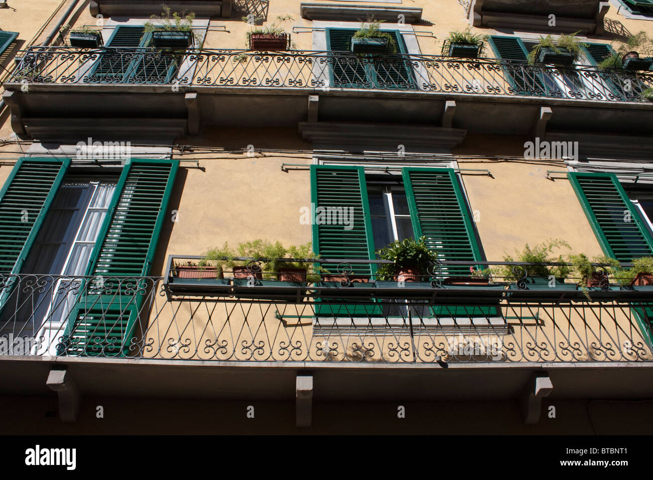 Pisa city centre italy Stock Photo - Alamy