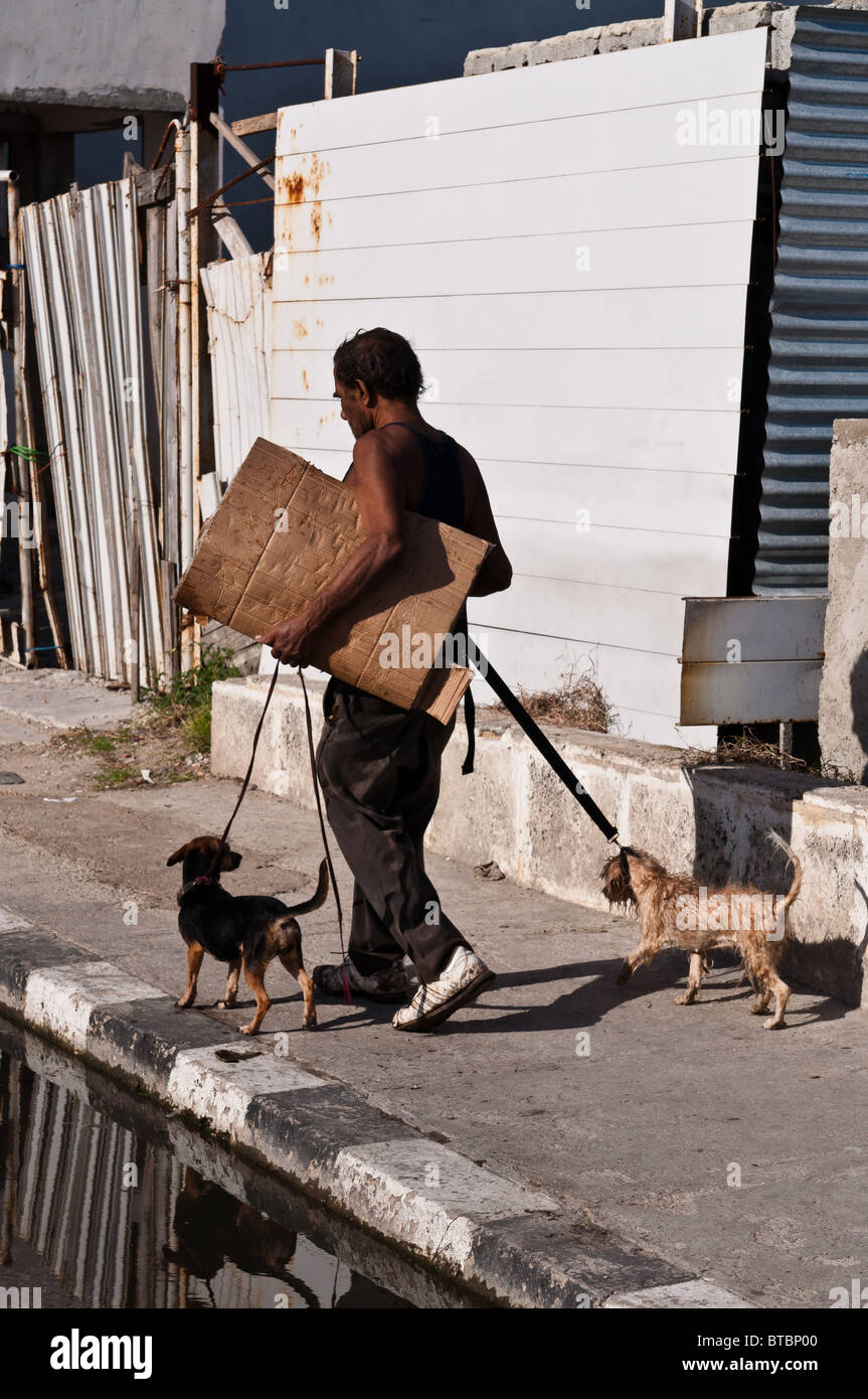 poor man with two dogs on the streets of Havana Stock Photo - Alamy