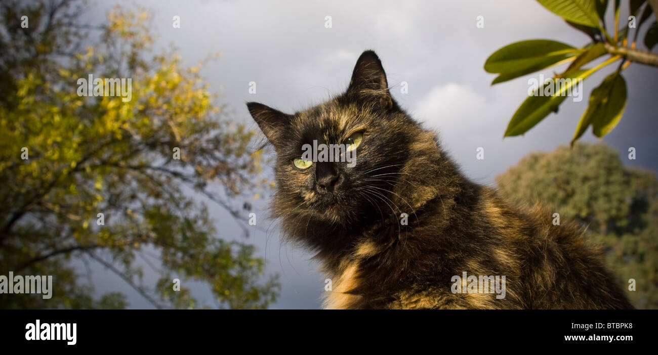 Average house hi-res stock photography and images - Alamy