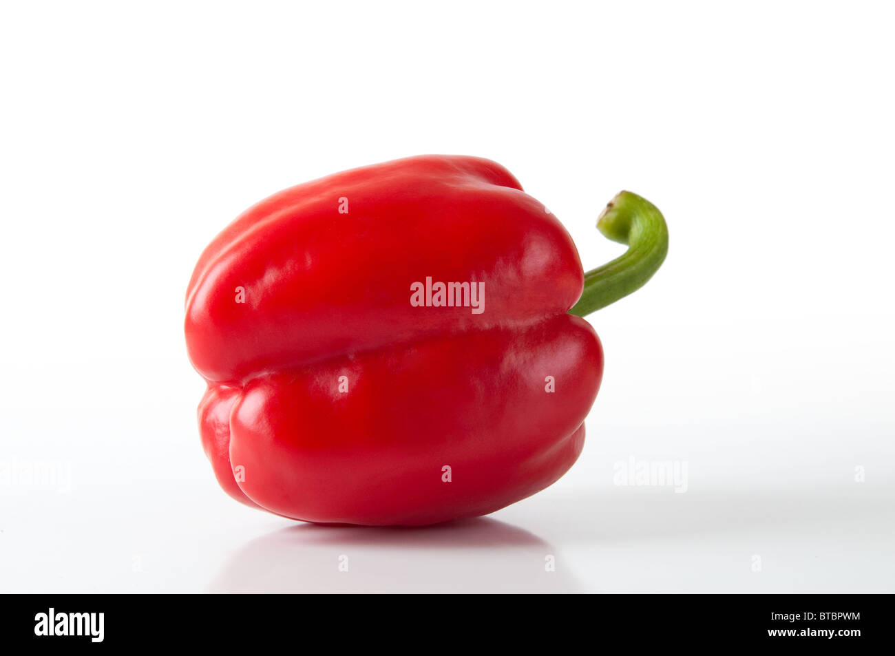 pepper on a white background Stock Photo - Alamy