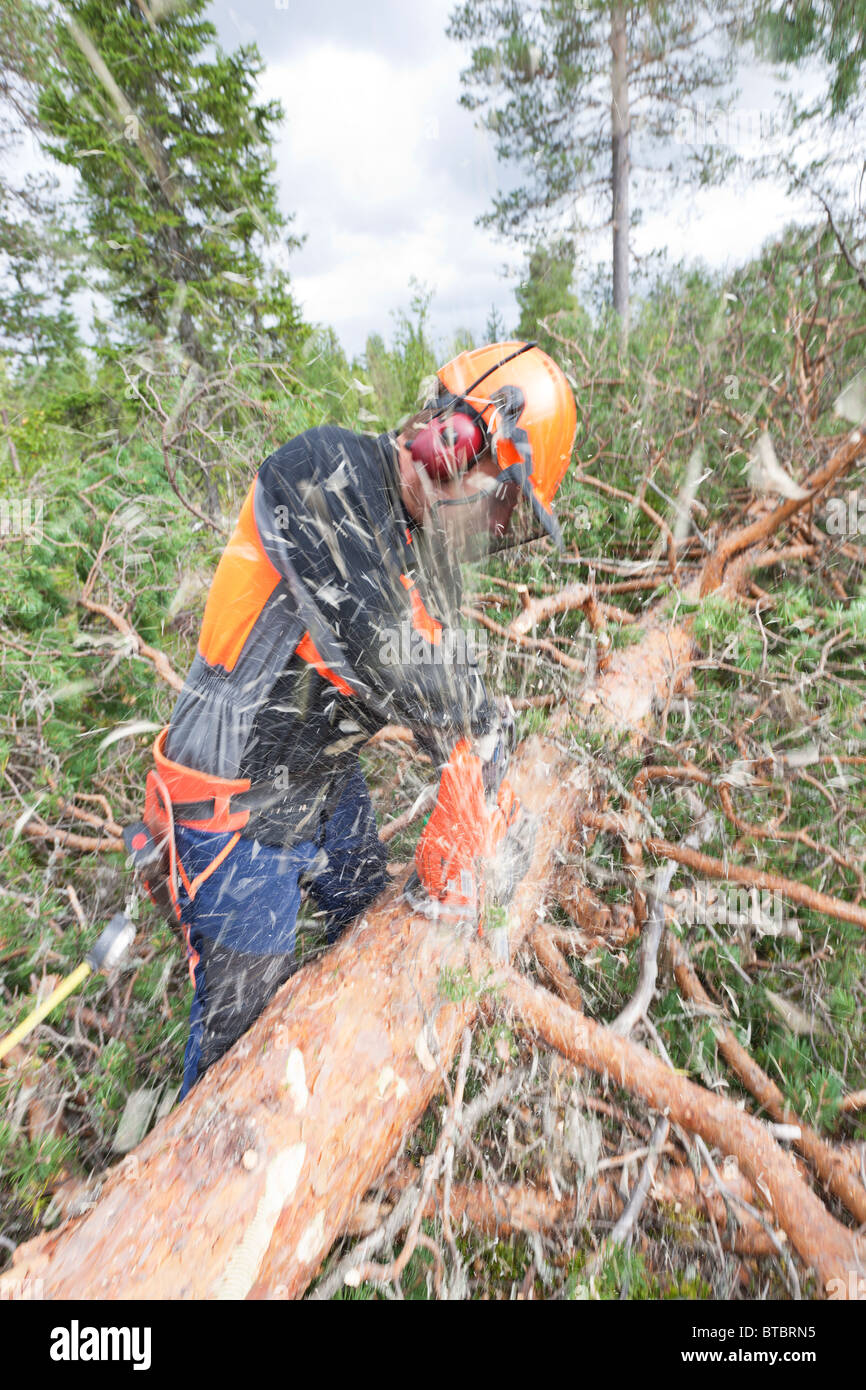Deforesting hi-res stock photography and images - Alamy