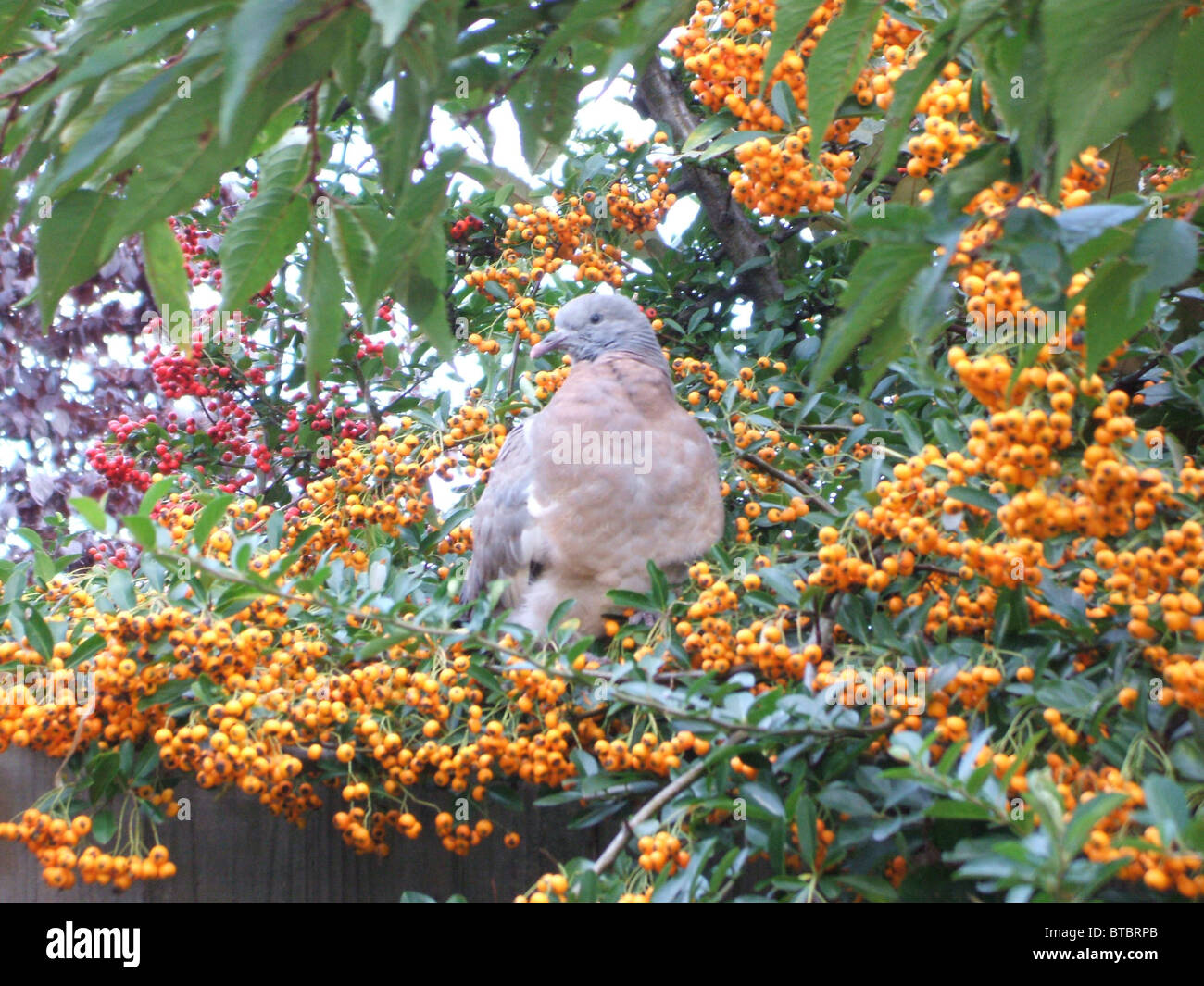 New Londoners: Participatory photography and mentoring project with ...