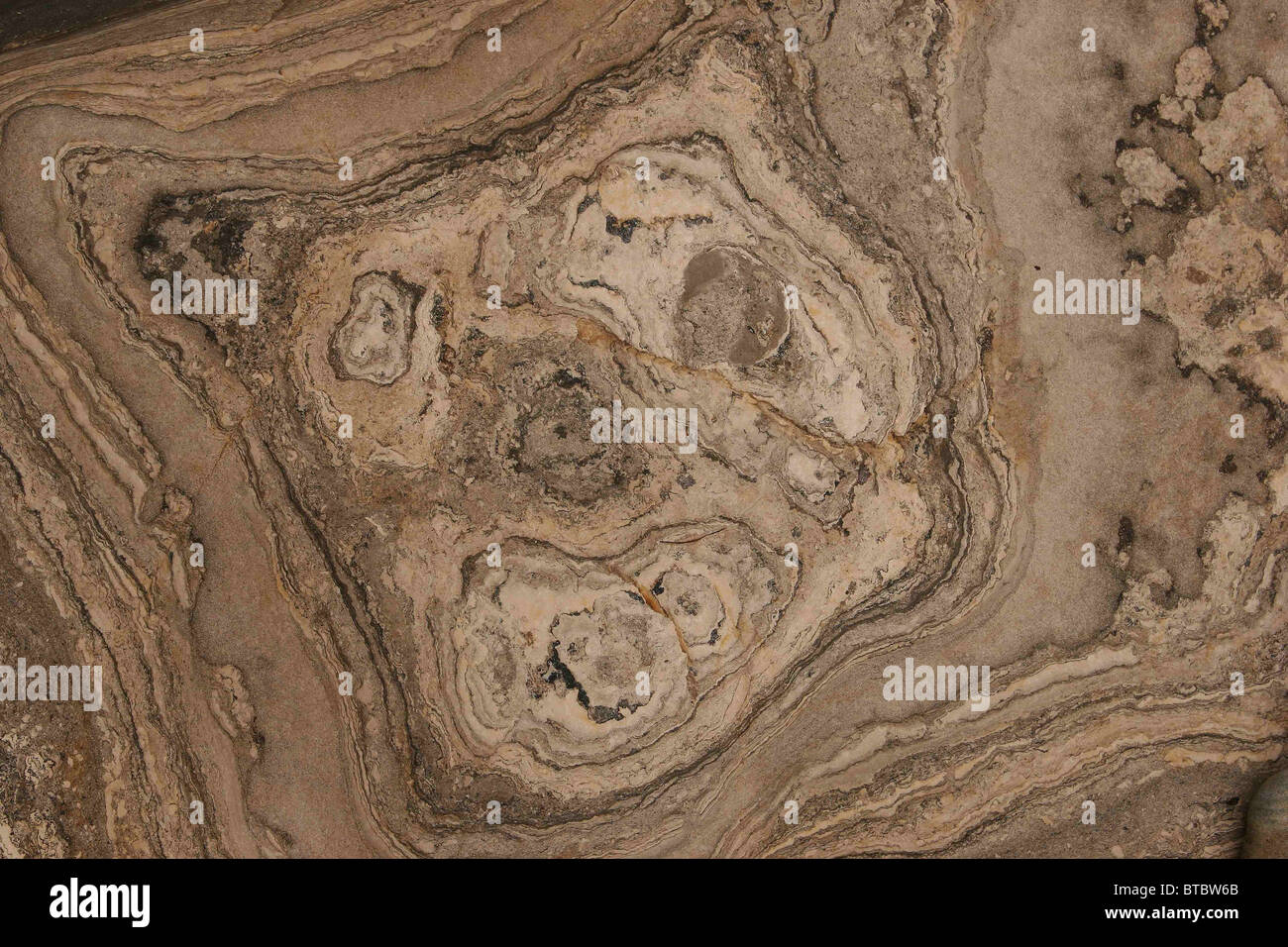 Boulder patterns, Brandy bay Dorset UK Stock Photo - Alamy