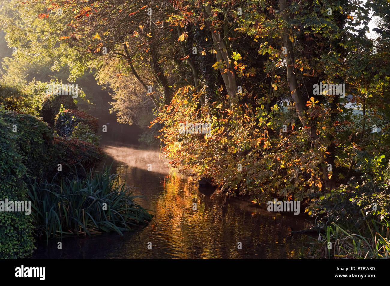 The River Ver in early morning atmospheric light is a fast flowing ...