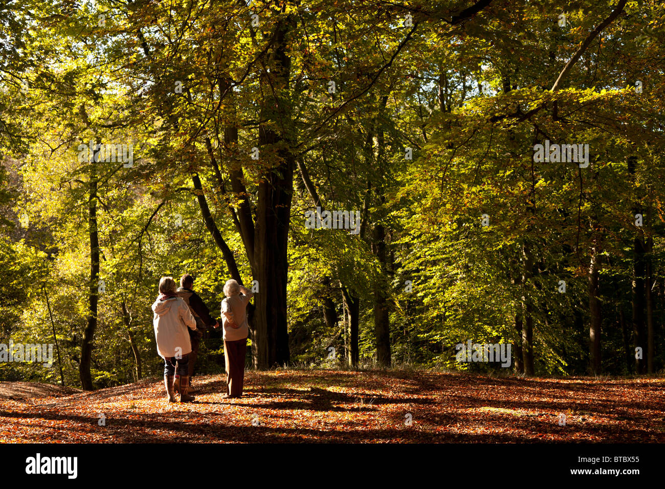 people enjoying an autumn walk in the woods Stock Photo - Alamy
