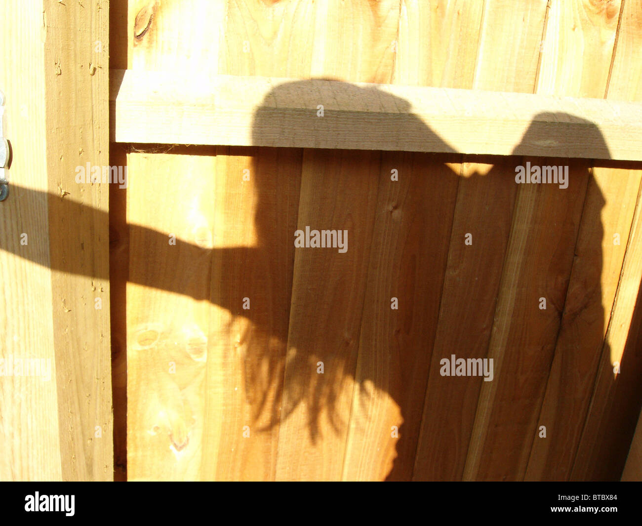 Beyond Sight: Photography by blind and partially sighted people, UK ...