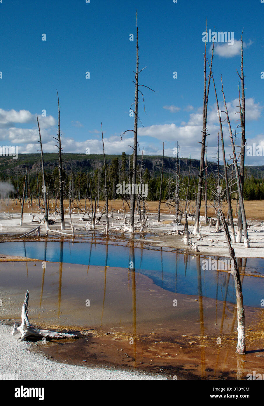 Opalescent Pool at Black Sand Basin in Yellowstone National Park in ...