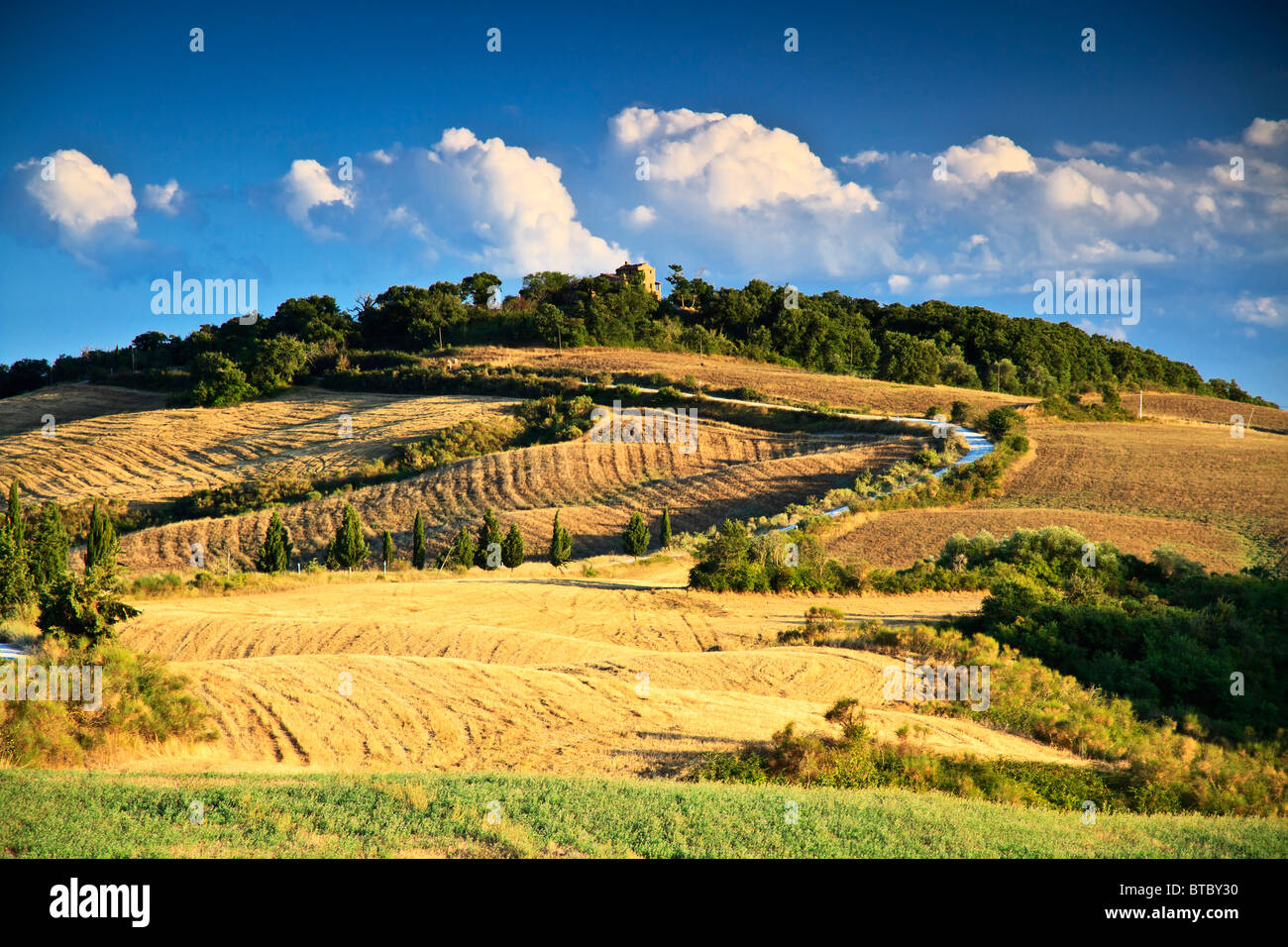 Harvested corn fields on hill with white gravel road near Pienza ...