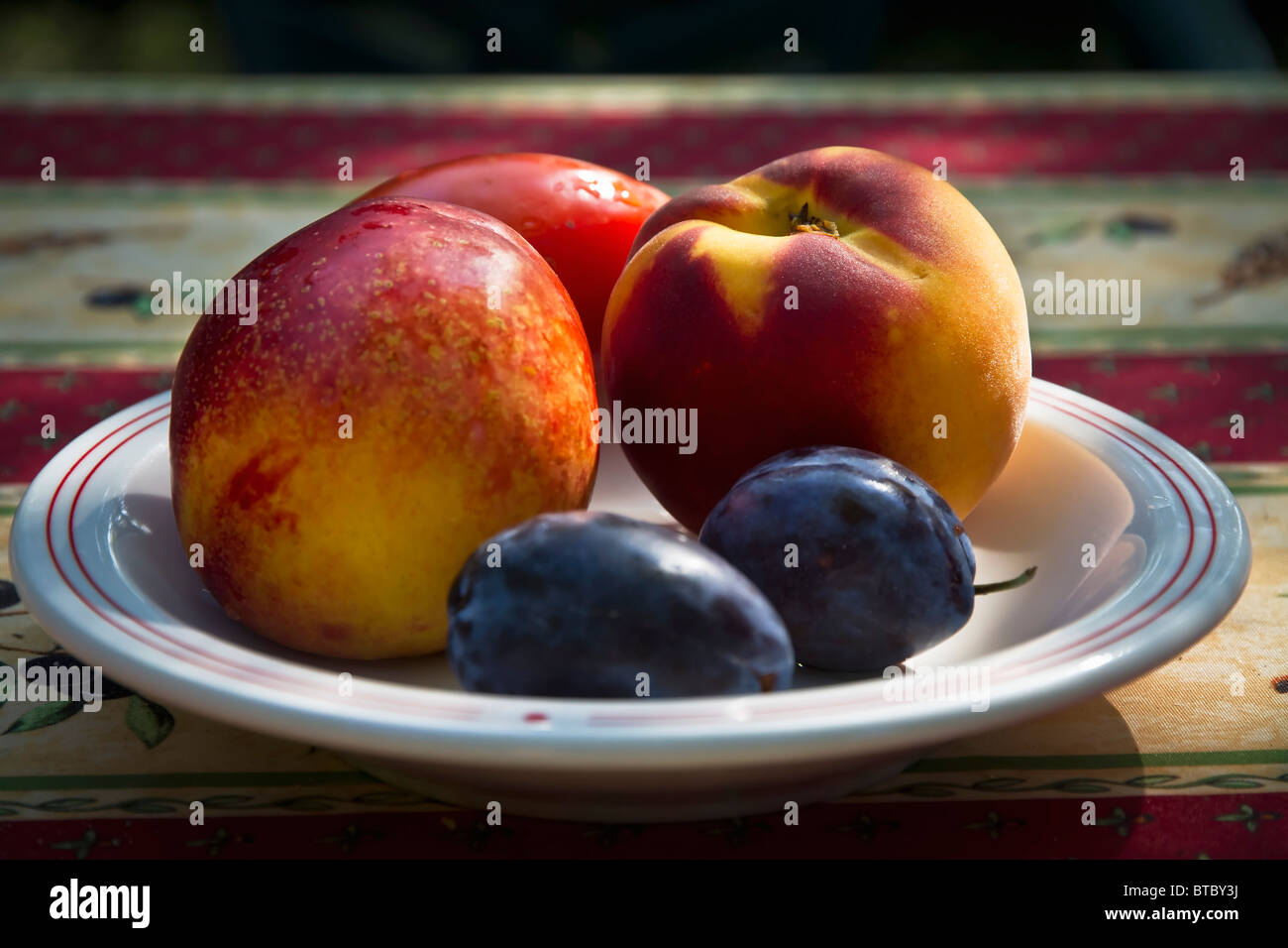 Bowl of fruit peach plums nectarines in dappled sunlight Tuscany Italy ...