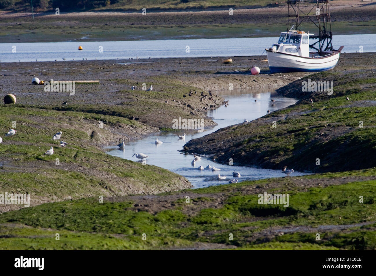 Langstone Harbour Hampshire Stock Photo - Alamy