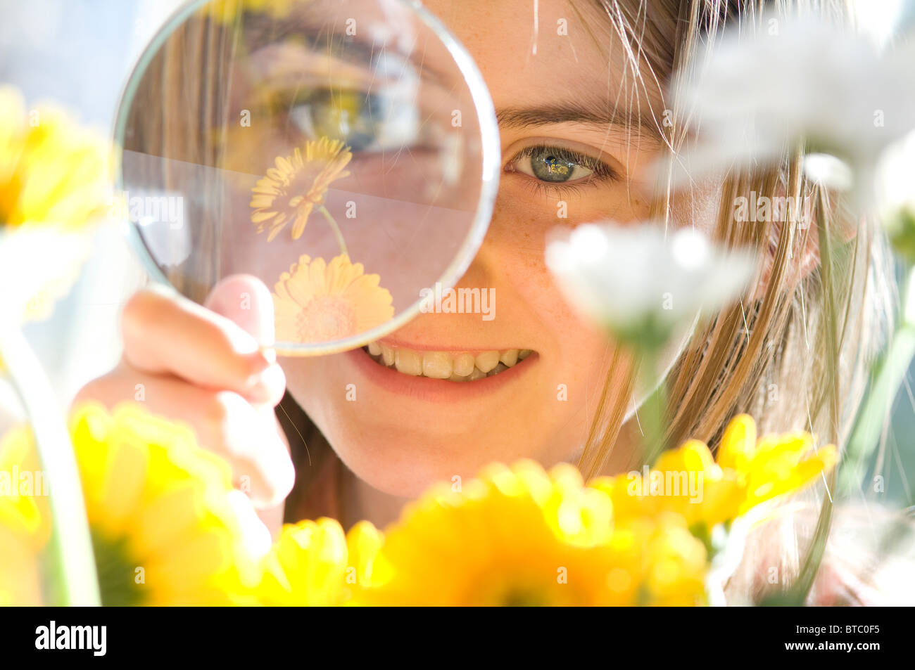 How looking this flower hi-res stock photography and images - Alamy