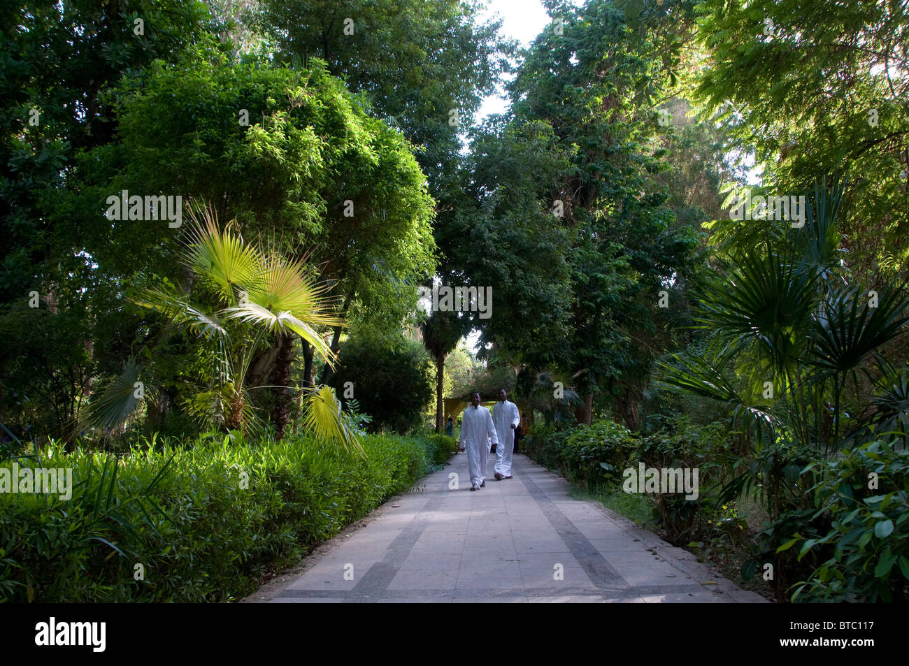 Aswan botanical garden hi-res stock photography and images - Alamy