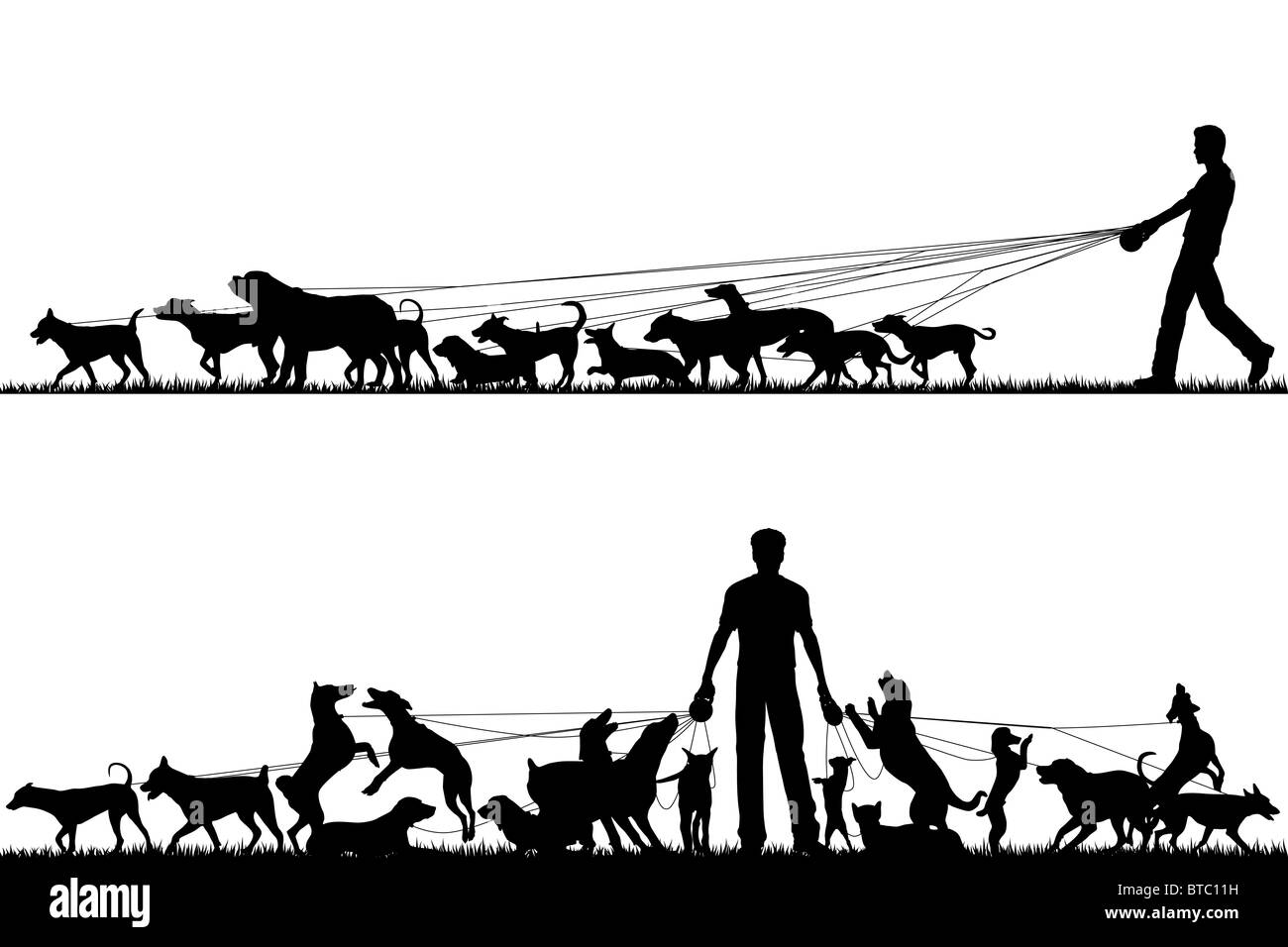 Two foreground silhouettes of a man walking many dogs Stock Photo - Alamy