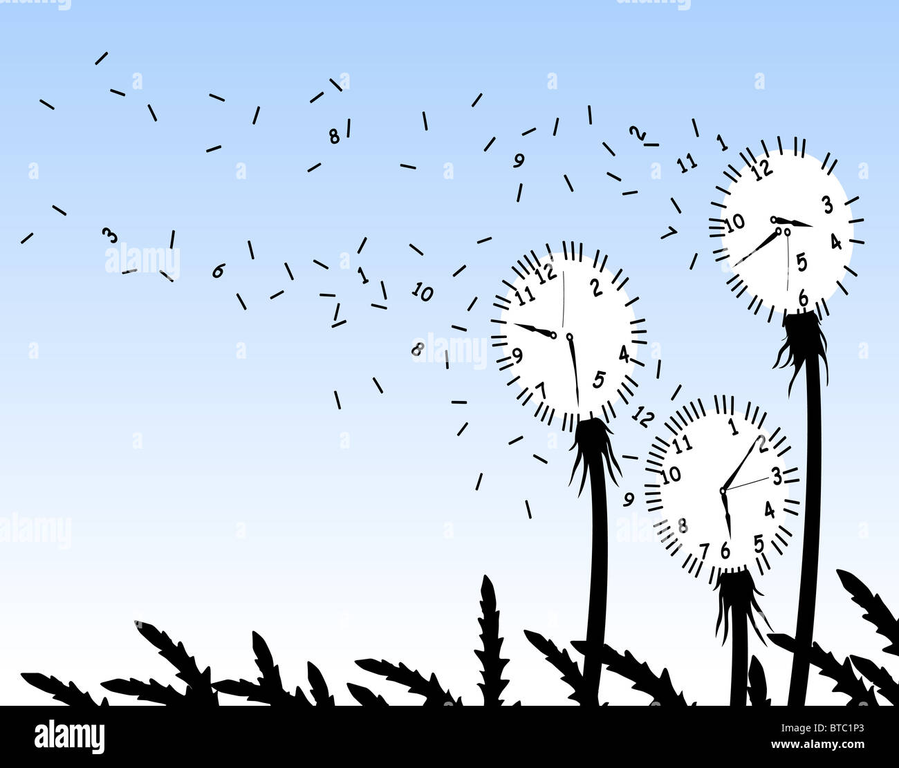 Abstract illustration of dandelion clock-faces blowing in the wind ...