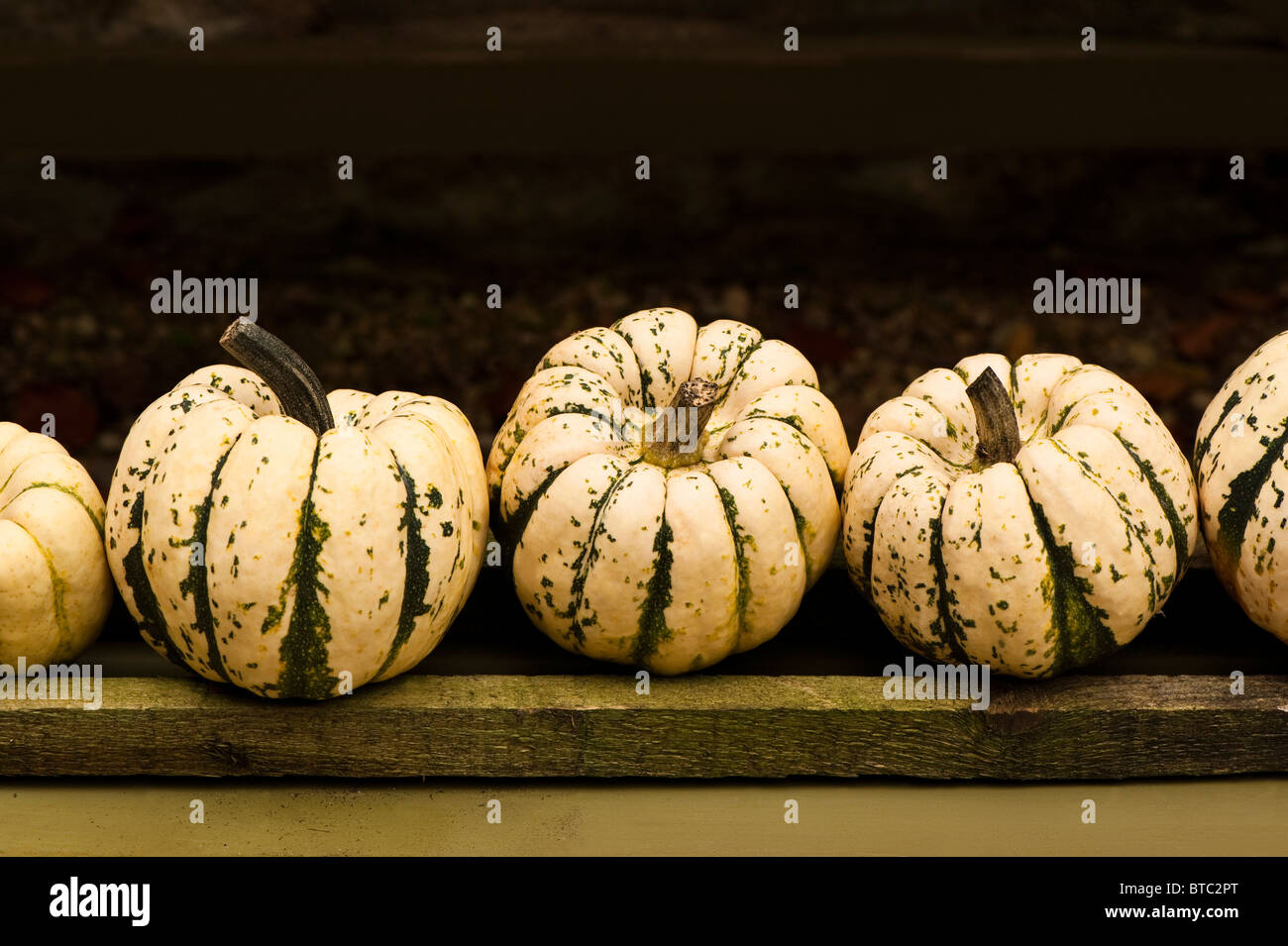 Harvested Squashes 'Sweet Dumpling' at Painswick Rococo Garden in The ...