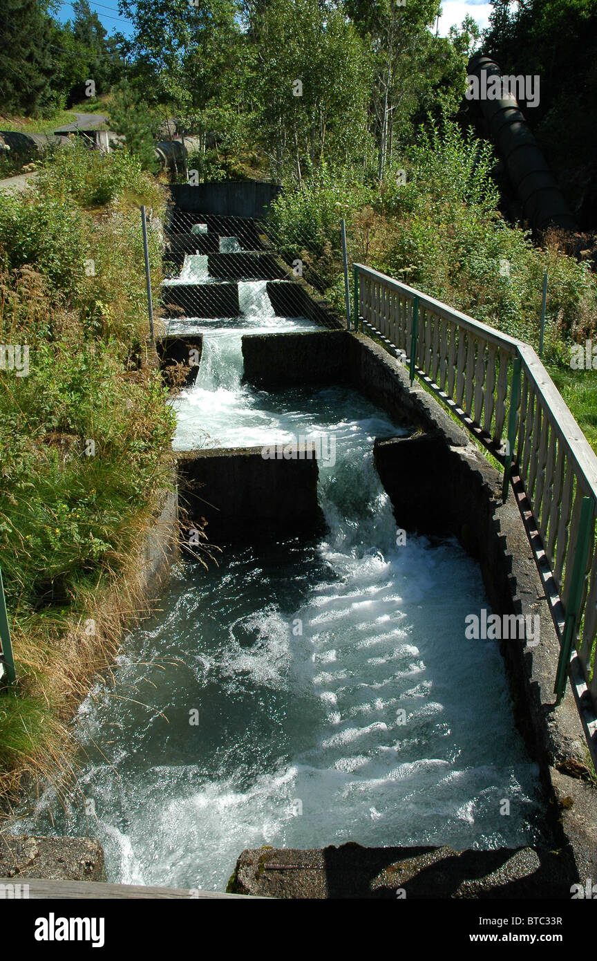 Fish ladder above eidfossen hi-res stock photography and images - Alamy