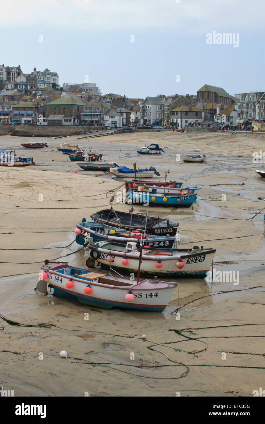 Cornwall snake hi-res stock photography and images - Alamy