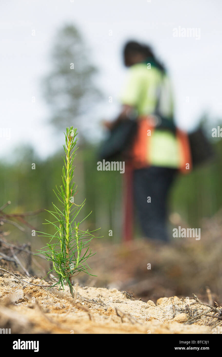 Planting of forests hi-res stock photography and images - Alamy