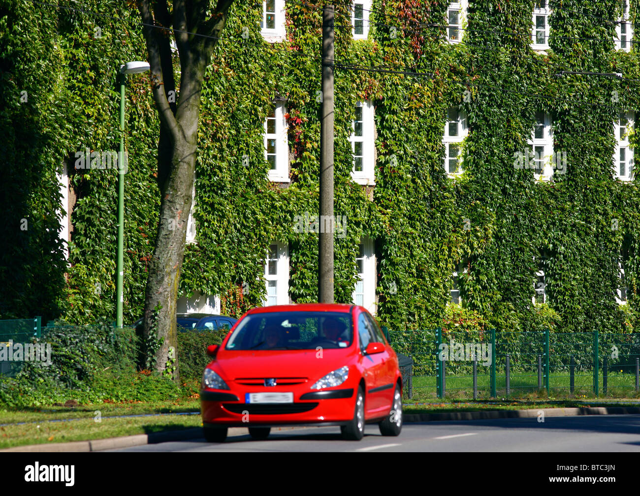 Ivy clad building facade hi-res stock photography and images - Alamy