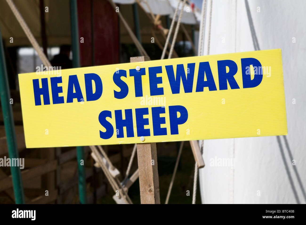 Head Steward Sheep sign at the Aylsham Agricultural Show, Norfolk ...