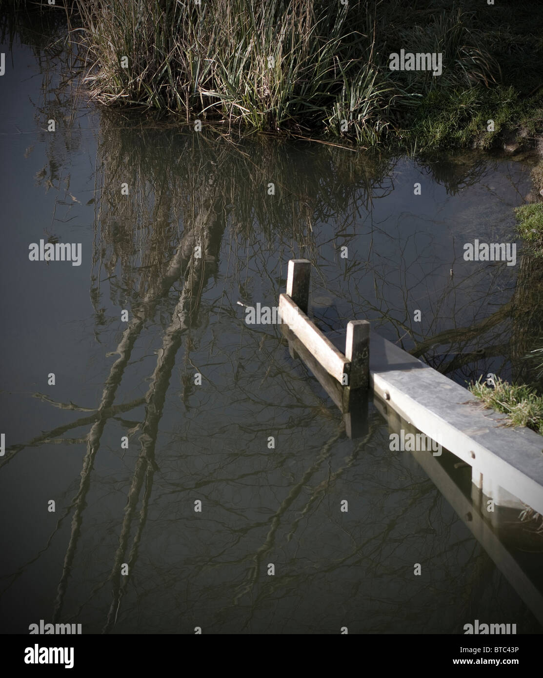 breakwater in river Stock Photo - Alamy
