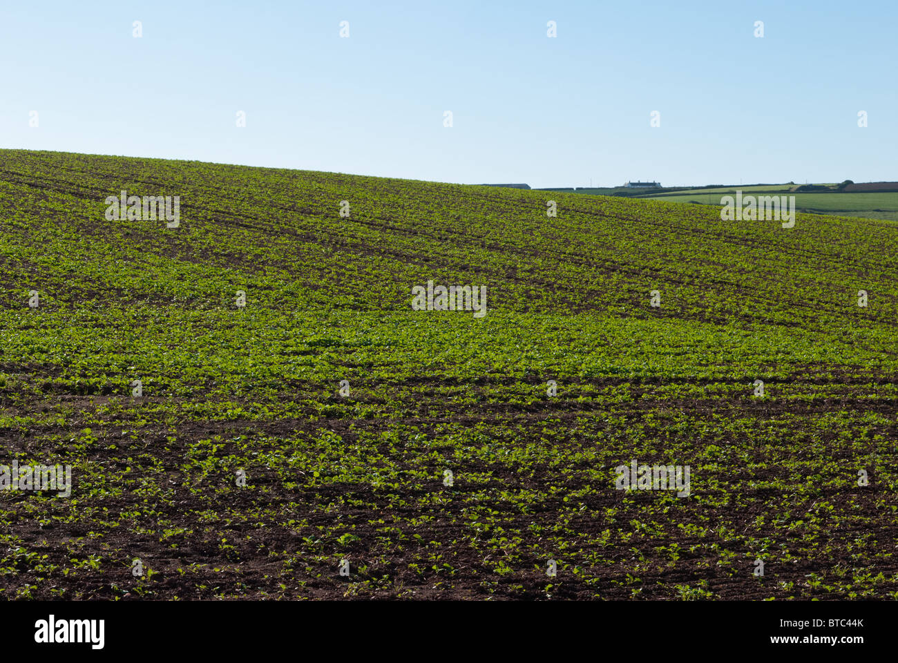 Sloping arable land hi-res stock photography and images - Alamy