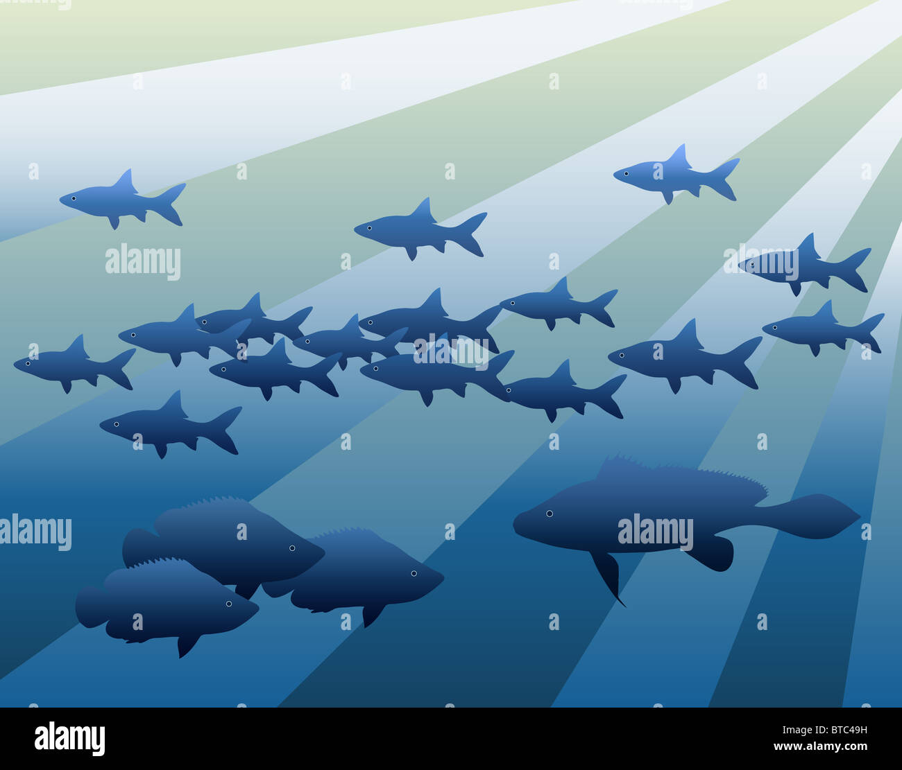 Illustrated design of fish swimming in the sea Stock Photo - Alamy