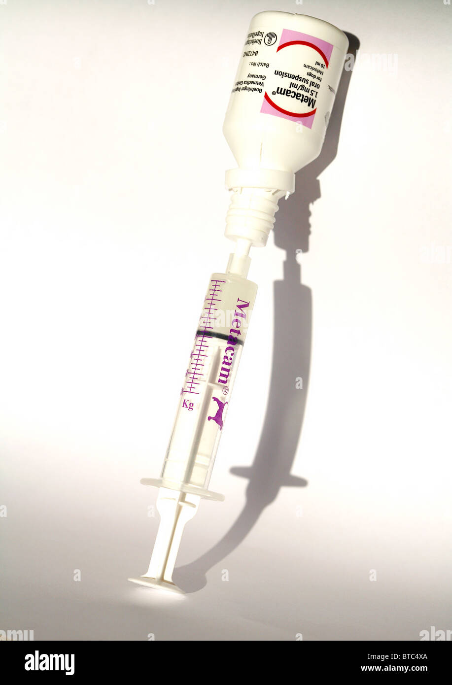 Is Metacam For Dogs A Antibiotic