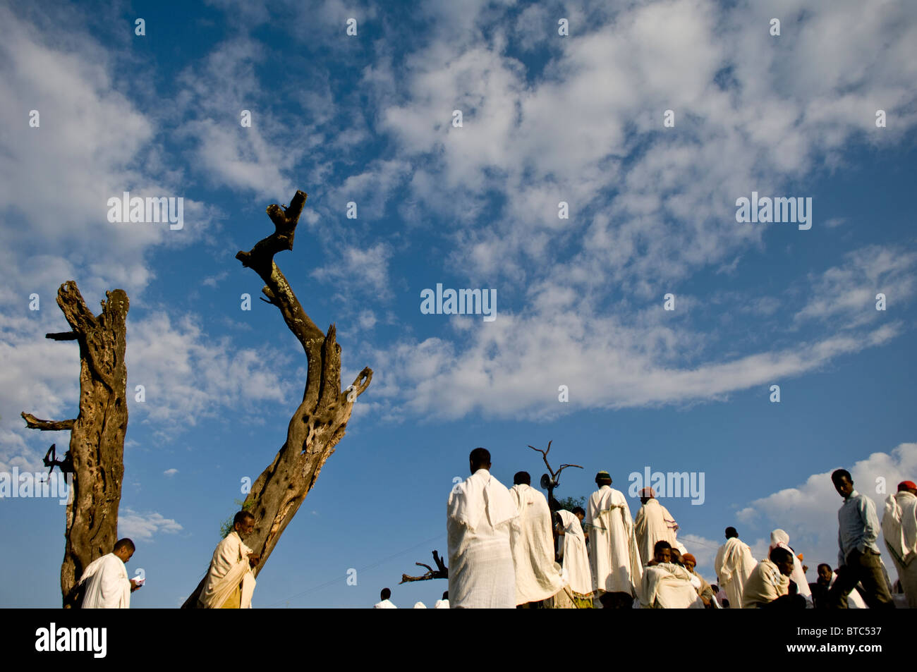 pilgrims praying by a tree, lalibela, ethiopia Stock Photo - Alamy