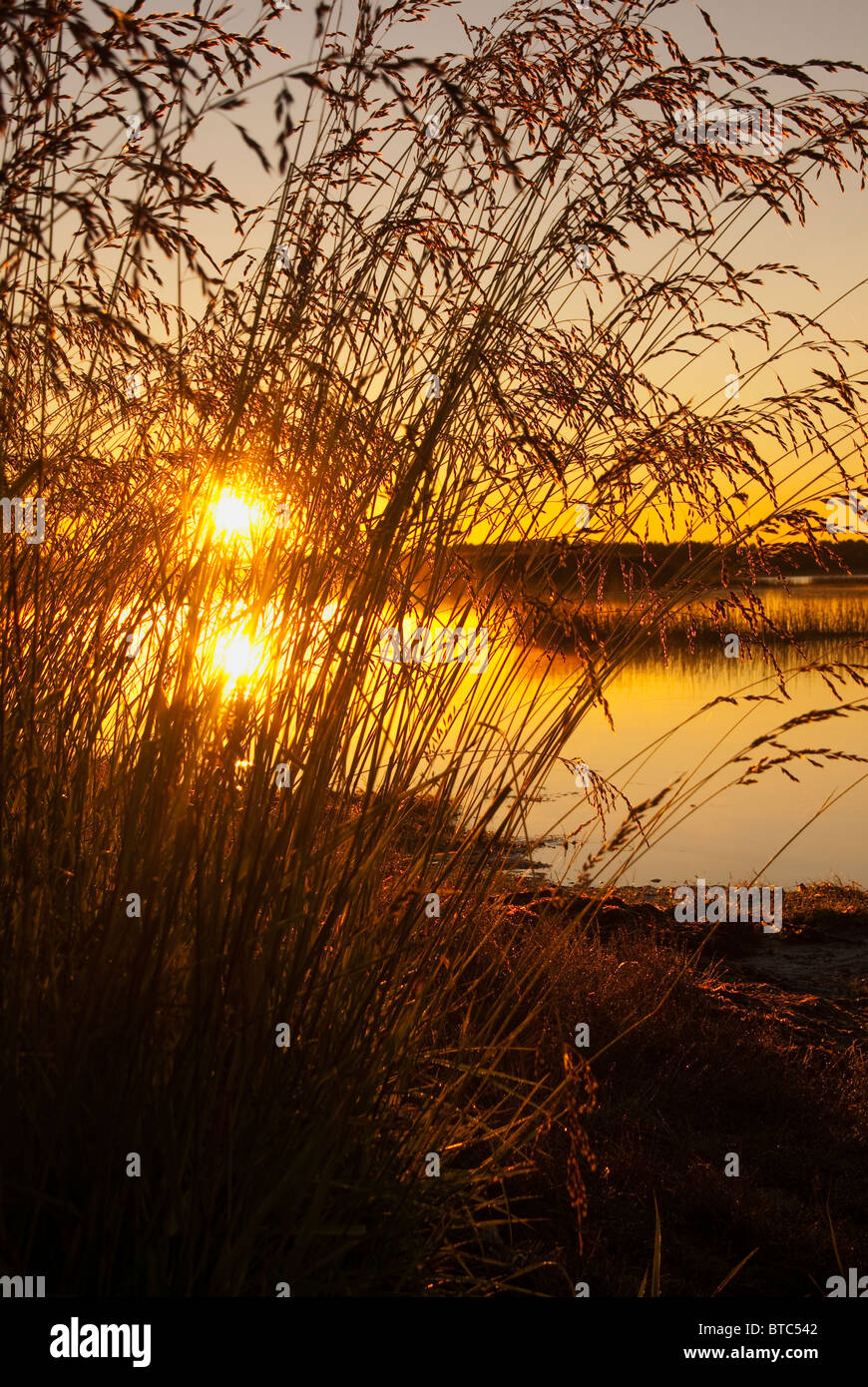 Hiiumaa Island High Resolution Stock Photography and Images - Alamy