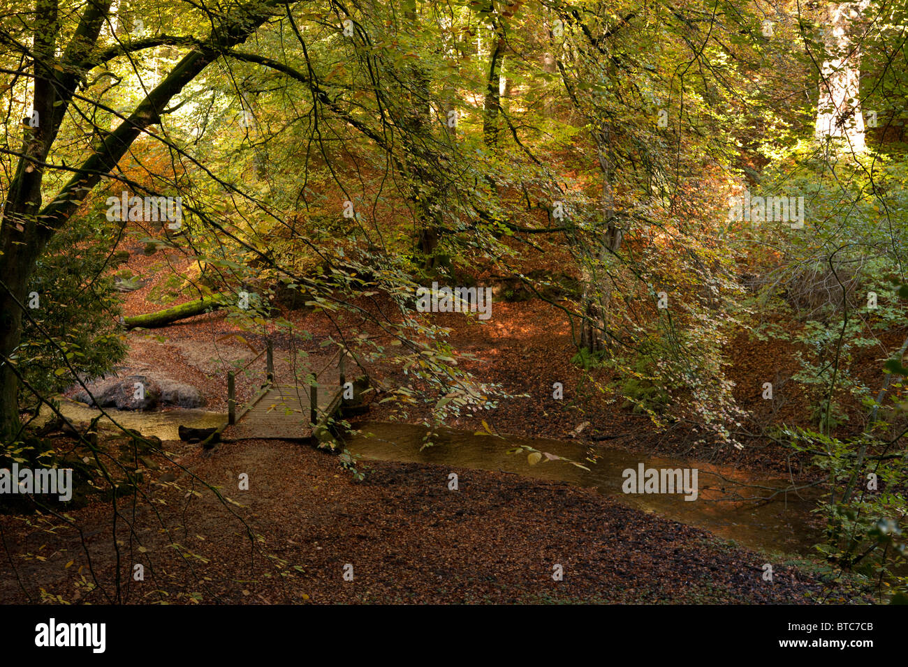 Peter great bridge over hi-res stock photography and images - Alamy