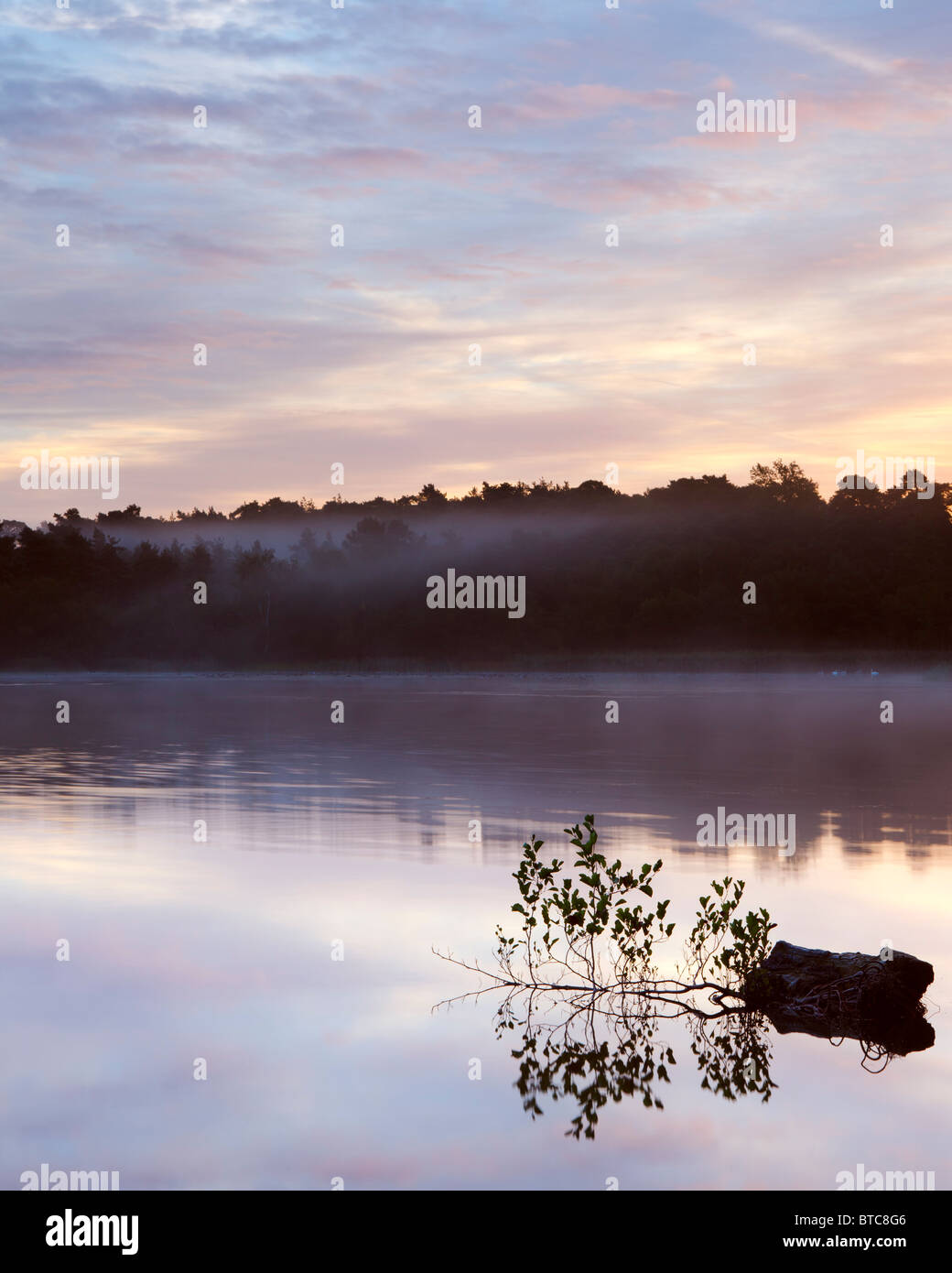 Surrey Hills Pond High Resolution Stock Photography and Images - Alamy